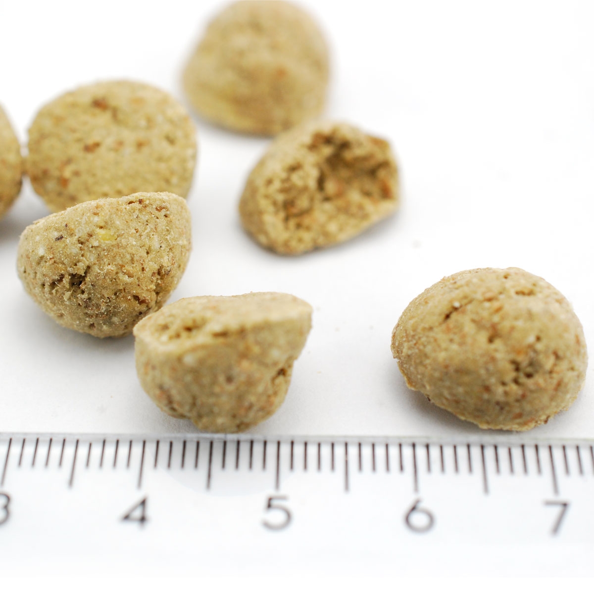 Magnusson Original Kennel - kaufen | DOGSPARTNER